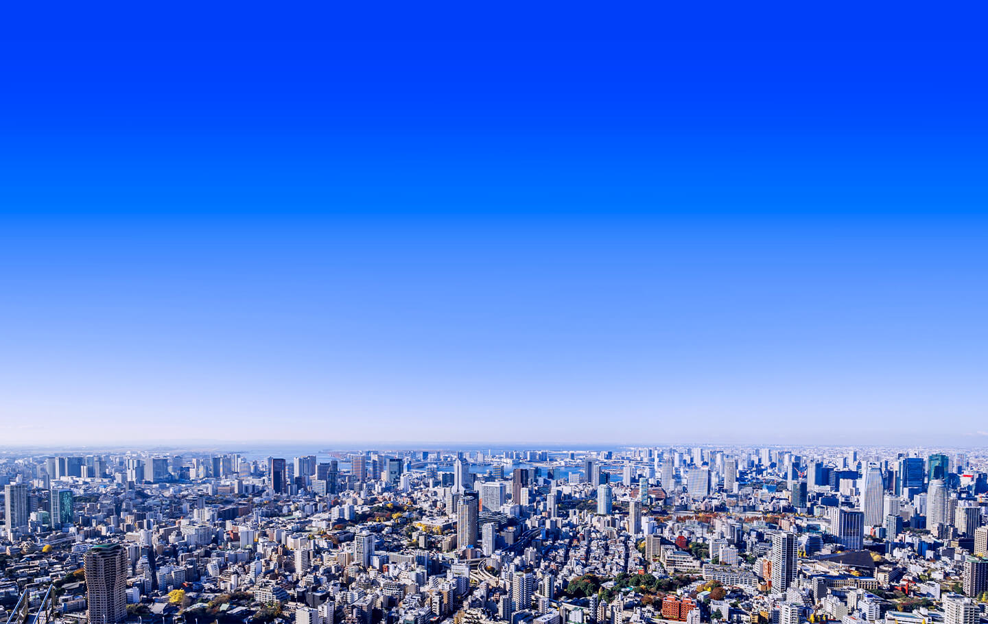 NTTアド｜NTT ADVERTISING, INC.